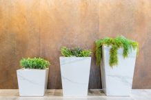 WHY YOU SHOULD ALWAYS USE SQUARE POTS FOR GARDENING | BLOGABERRY FOO