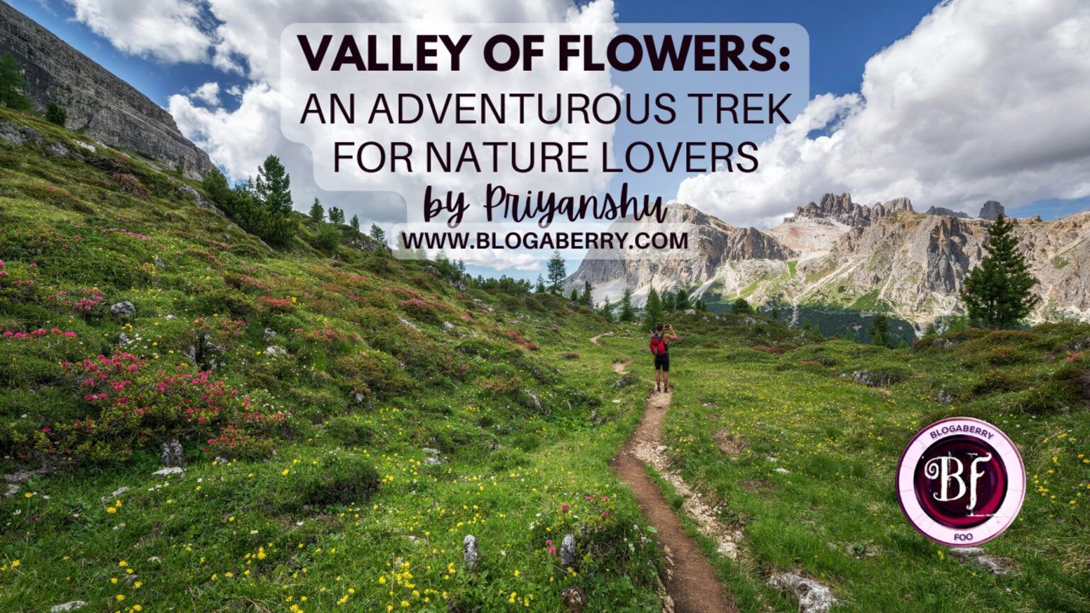 VALLEY OF FLOWERS: AN ADVENTUROUS TREK FOR NATURE LOVERS | BLOGABERRY FOO