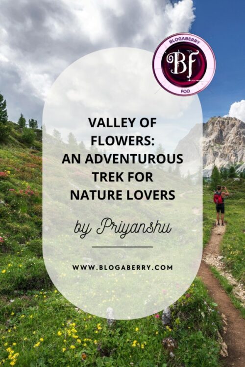 VALLEY OF FLOWERS: AN ADVENTUROUS TREK FOR NATURE LOVERS | BLOGABERRY FOO