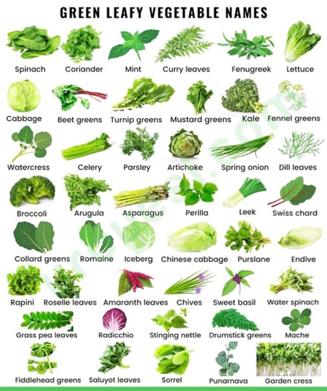 15 HEALTHY FOODS TO HELP COOL YOUR BODY | BLOGABERRY FOO