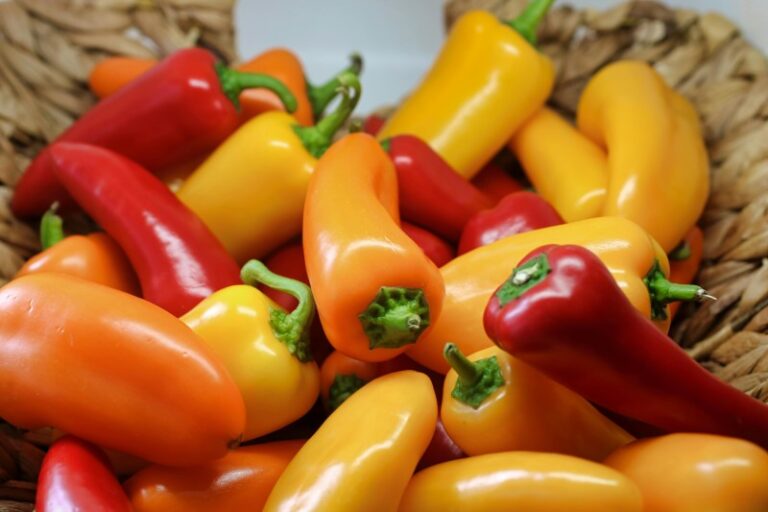 15 HEALTHY FOODS TO HELP COOL YOUR BODY | BLOGABERRY FOO